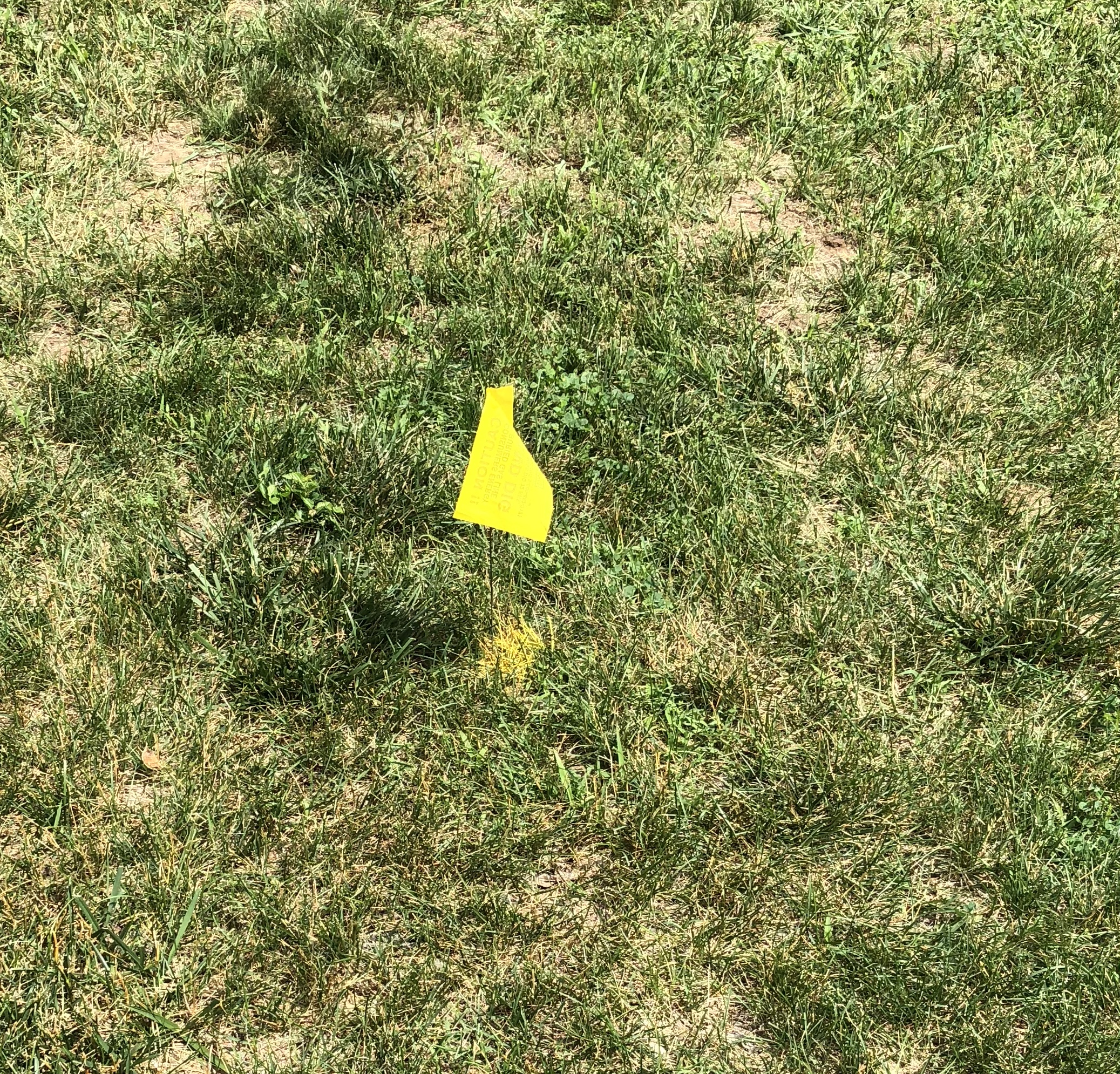 Backyard Party Safety Tips Top Care Tent Rental Michigan Backyard Party Safety Tips Top Care Tent Rental Michigan